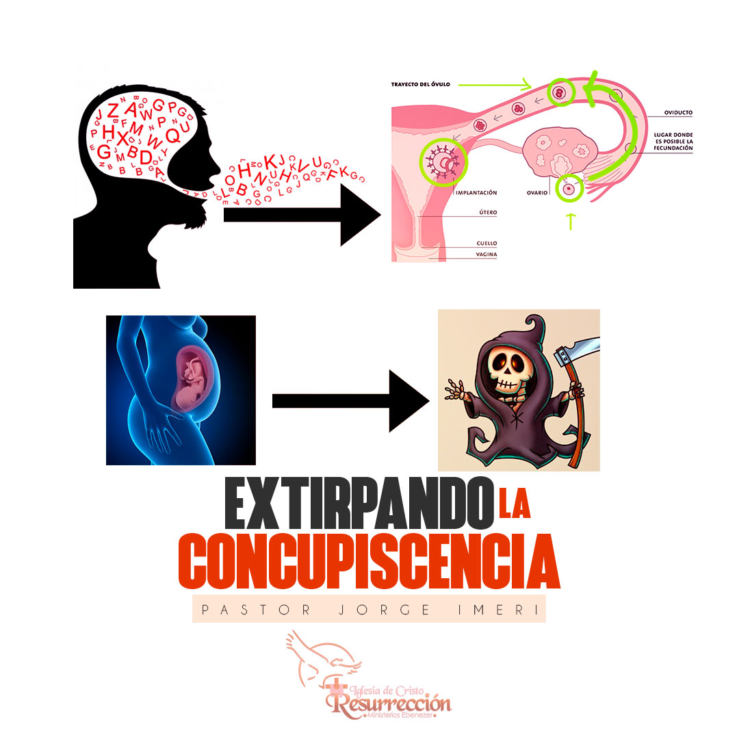 Extirpando la concupiscencia