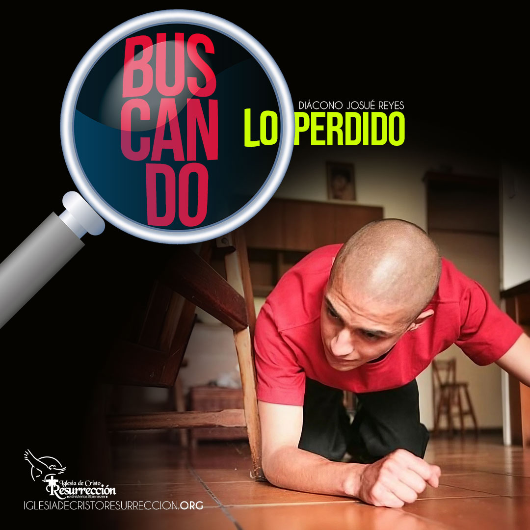 Buscando lo perdido