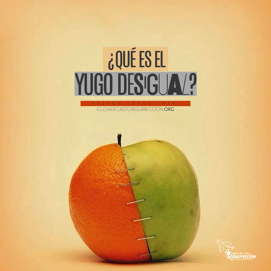 Que Es Yugo Desigual Best Sale | emergencydentistry.com